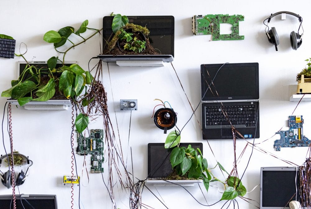 The Wall After Us - nathaniel stern